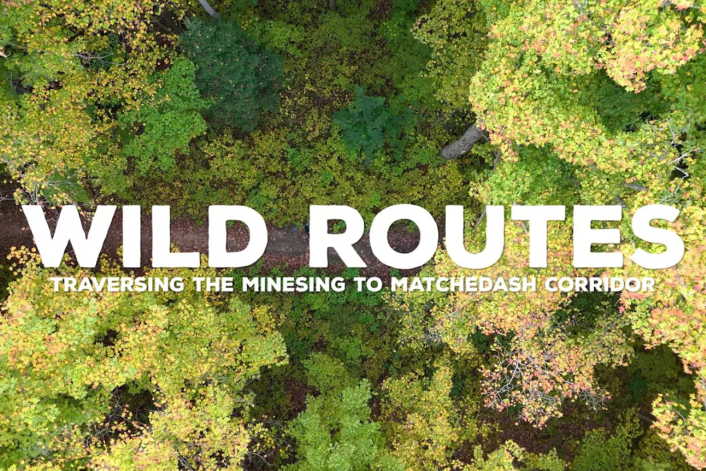 Wild Routes: Minesing to Matchedash Part 1 - Couchiching Conservancy